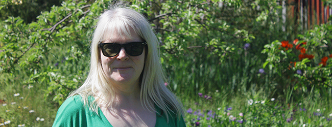 Välkommen till Tanto Södra koloniområde